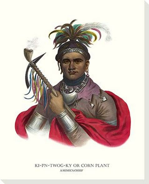 Kiontwogky or Corn Plant, A Seneca Chief Wrapped Canvas Art Print ...