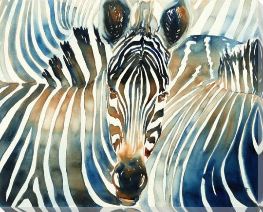 Zebra 3 Wrapped Canvas Giclee Print Wall Art | Exotic Animal Wall Art