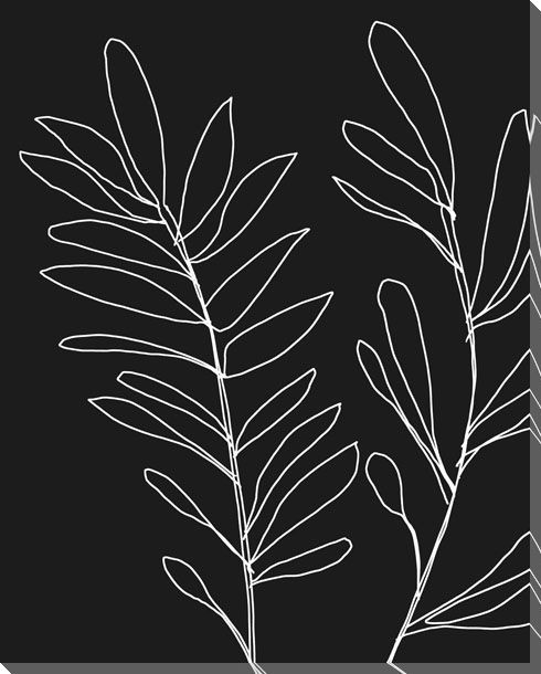 Botanical Line Drawing 3 Wrapped Canvas Giclee Art Print Wall Art ...