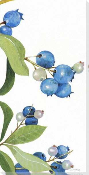 Wild Blueberries III Wrapped Canvas Giclee Print Wall Art | Colorful ...