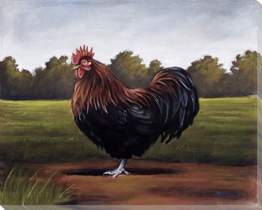 Modern Rooster Birds 3 Wrapped Canvas Giclee Print Wall Art - Wall ...