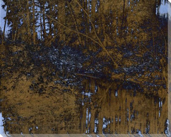 Tree Line at 2 P.M. Wrapped Canvas Giclee Print Wall Art | Rustic Tree ...