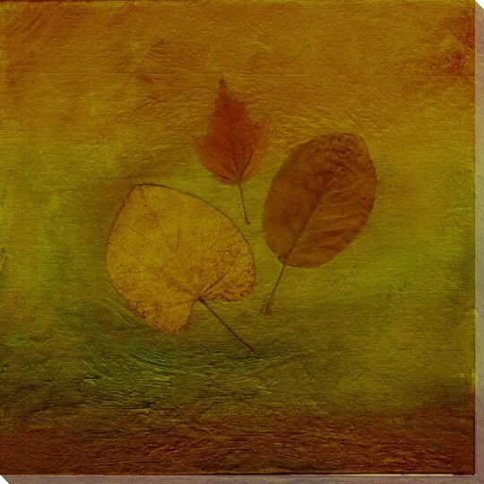Autumn Leaves Six Wrapped Canvas Giclee Print Wall Art | Contemporary ...