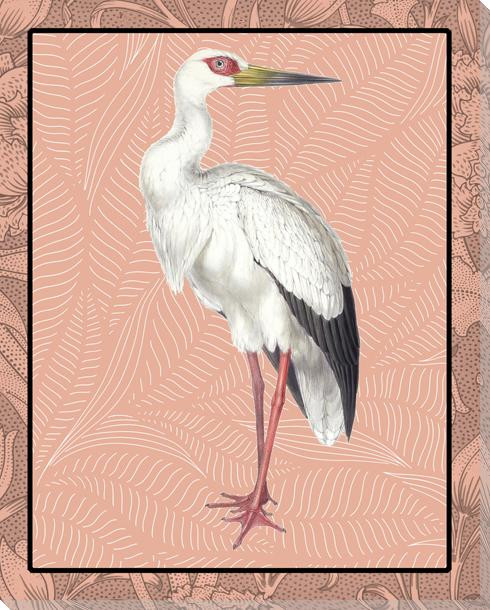 Stork Bird Wrapped Canvas Giclee Print Wall Art | Stylish Bird Decor