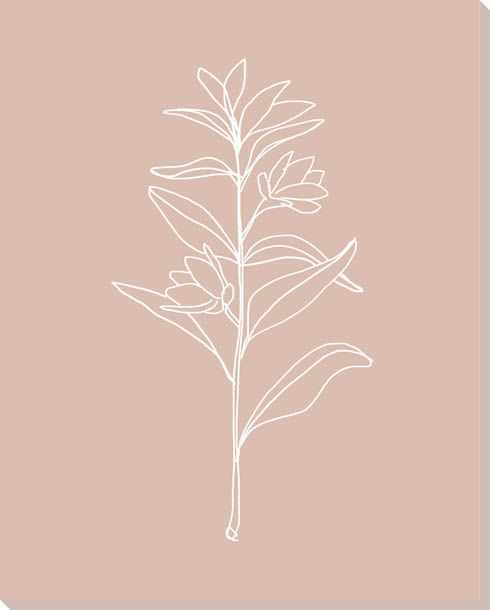 Blush Botanicals 3 Wrapped Canvas Giclee Art Print Wall Art | Classic ...