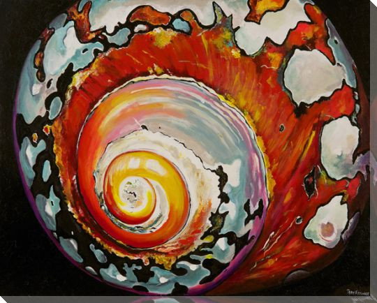Colorful Moon Shell 1 Wrapped Canvas Giclee Print Wall Art | Seashore ...