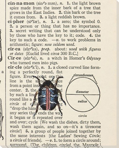 Circle Bug Wrapped Canvas Giclee Print Wall Art | Insect Wall Decor