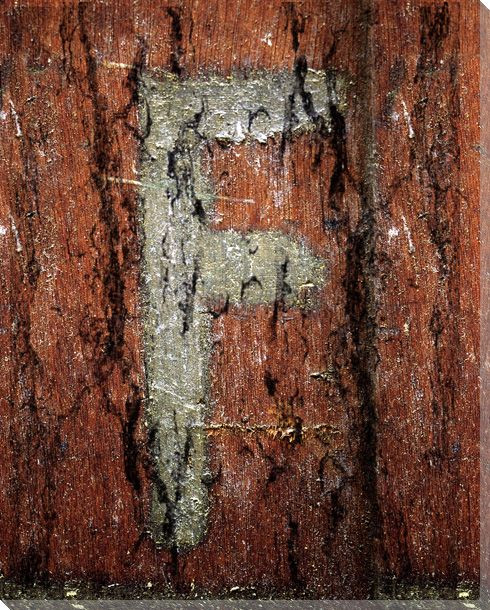 Colorful Letter F Wrapped Canvas Giclee Print Wall Art | Stylish Letter ...