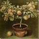 Apple Topiary Wrapped Canvas Giclee Print Wall Art | Produce Wall ...