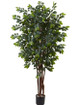 7' Sakaki Silk Tree - Artificial Trees - Silk Trees