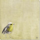 Tweet Tweet Bird 6 Wrapped Canvas Giclee Art Print Wall Art | Stylish ...
