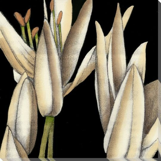 Pink Graphic Lily Flower TR Wrapped Canvas Giclee Print Wall Art ...