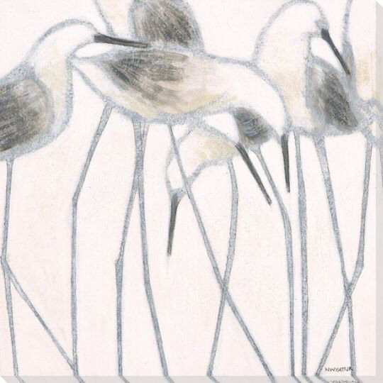 Whitewashed Sandpiper Birds I Wrapped Canvas Giclee Print Wall Art ...