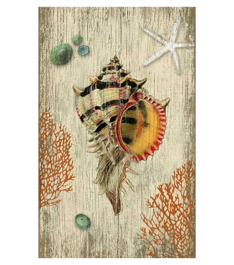 Rustic Shell Vintage Style Wooden Sign - Antique Retro Wood Sign