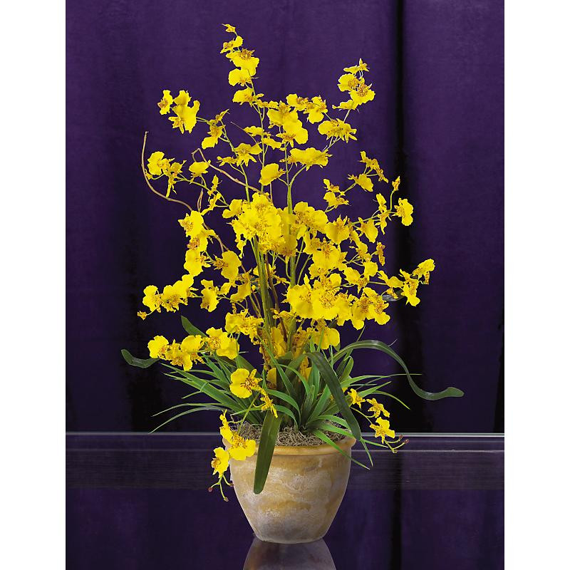 Nearly Natural Dancing Lady Silk Orchid Arrangement - Yellow ...