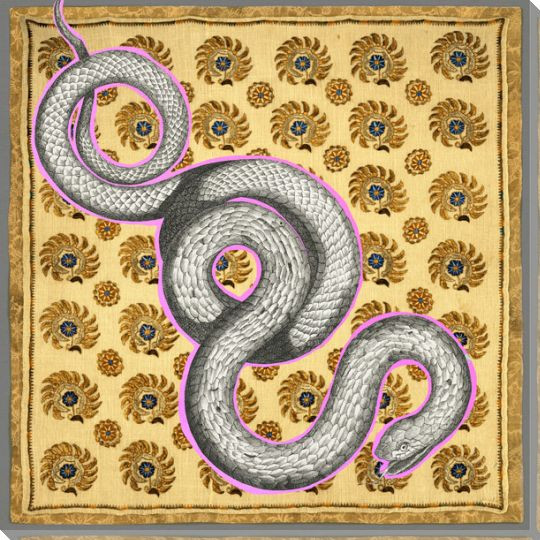 Nagoo Snake Wrapped Canvas Giclee Art Print Wall Art | Reptile Wall ...