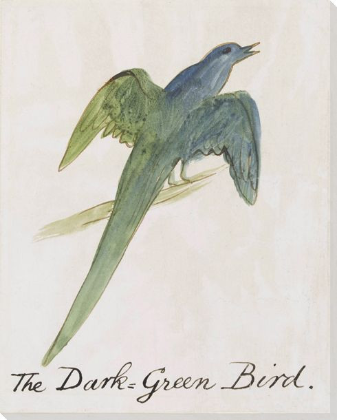 Red and Green Tanager Birds Wrapped Canvas Giclee Print Wall Art ...