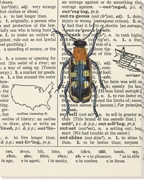 Bug Plate 24 Wrapped Canvas Giclee Print Wall Art - Wall Decor - Artwork