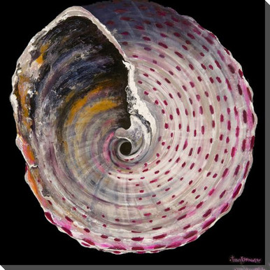 Pink Turbo Shell 2 Wrapped Canvas Giclee Print Wall Art | Ocean Wall ...
