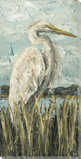 Vern Pelican Bird Wrapped Canvas Giclee Art Print Wall Art | Bird ...