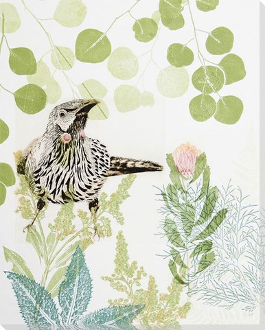 Wattlebird And Pincushion Protea Wrapped Canvas Giclee Art Print Wall ...