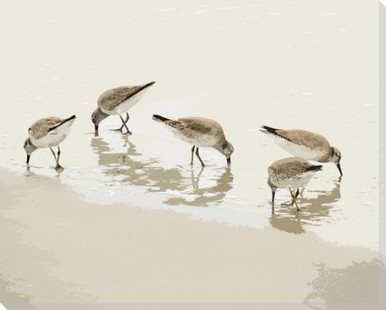 Dipping Dunlin Birds Wrapped Canvas Giclee Art Print Wall Art | Unique ...
