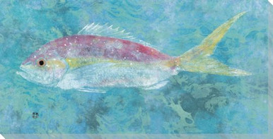 Open Ocean Yellowtail Snapper Fish Wrapped Canvas Giclee Print | Angler ...