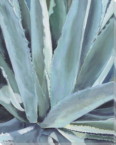 Blue Agave Wrapped Canvas Giclee Art Print Wall Art | Botanical Wall ...
