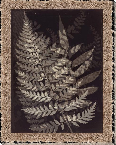 Burlap & Fern Photogram 3 Wrapped Canvas Giclee Art Print Wall Art ...