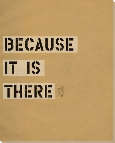 Because it is There Saying Wrapped Canvas Giclee Print Wall Art ...