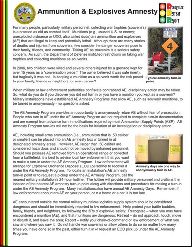 FACT SHEETS, AMNESTY, 8.5 X 11", ENGLISH - Envision Xpress