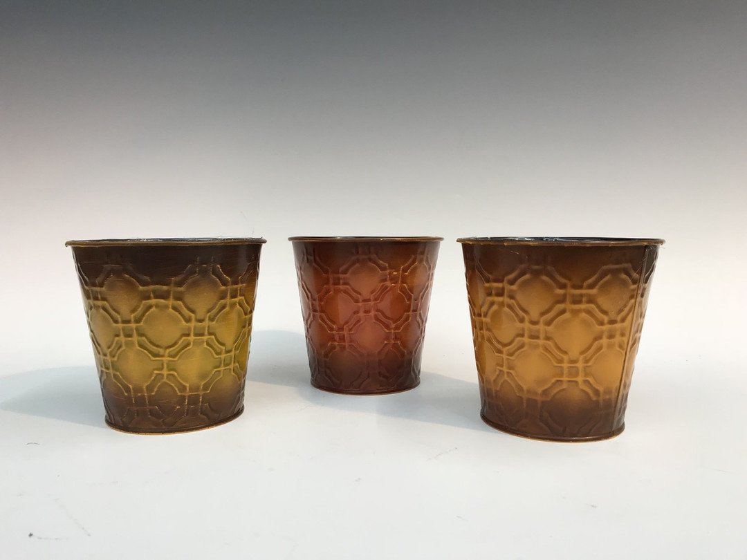 Phal. Ever Spring Prince - OrchidWeb