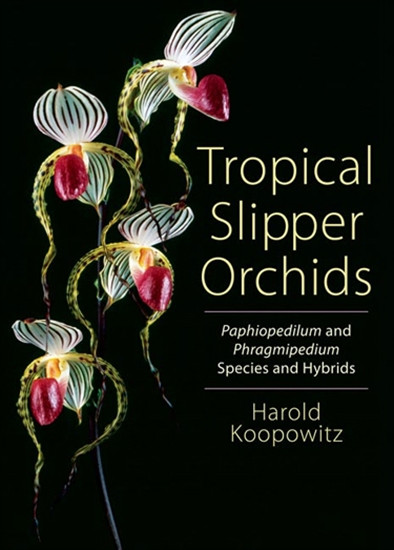 Tropical Slipper Orchids - Paphiopedilum and Phragmipedium Species and ...