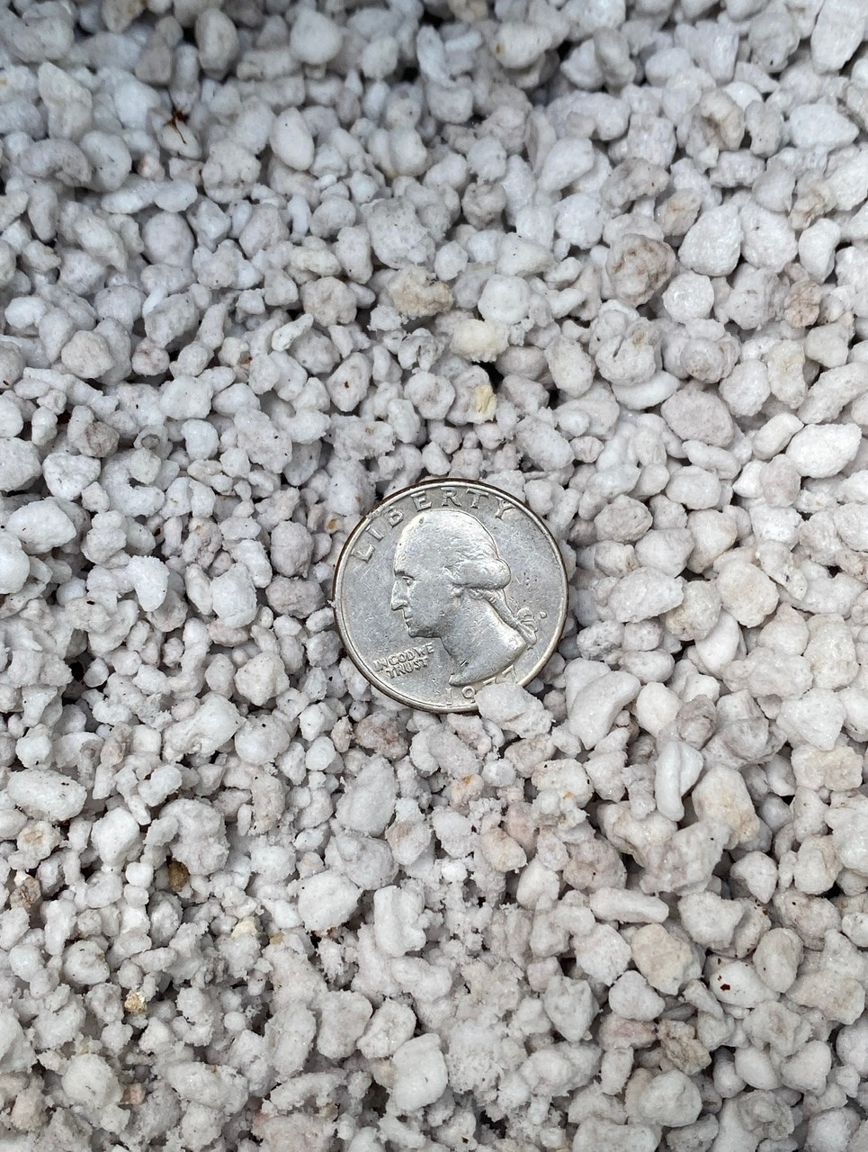 Horticultural Coarse Perlite - OrchidWeb