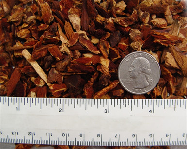 Bark (Rexius) - Small - OrchidWeb