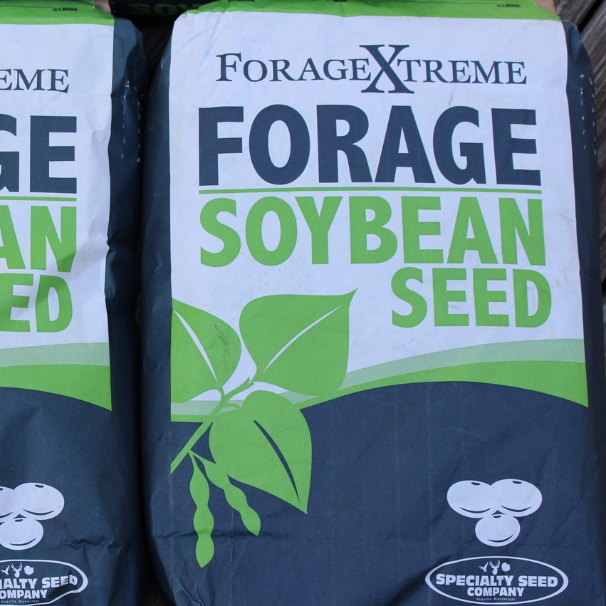 Derry Forage Soybeans - Specialty Seed