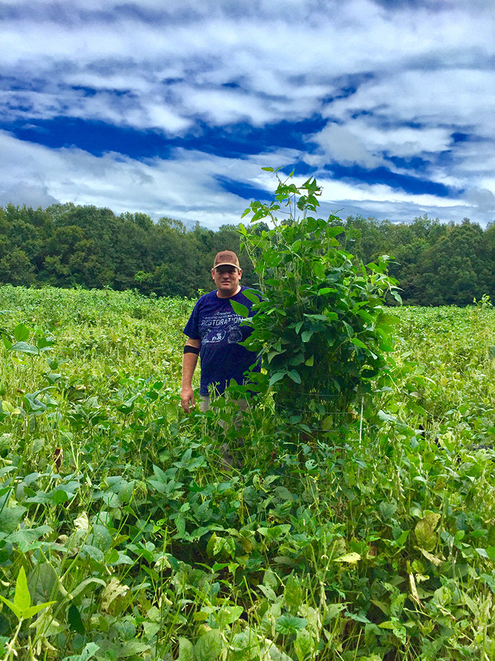 Titan Forage Soybeans - Specialty Seed