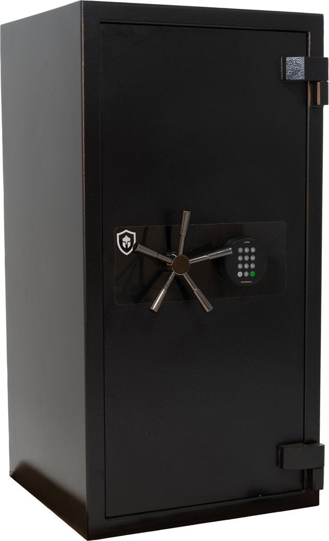 Sentinel Protector 5 Fire Rated (318kg)