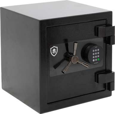 Sentinel Protector 1 Fire Rated (106kg)