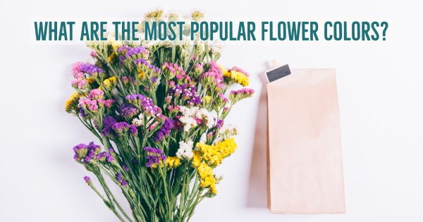What Are the Most Popular Flower Colors? - Chattanooga Flower Market