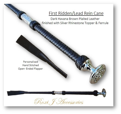 Lead Rein/ First Ridden Cane - Plaited Leather with Silver Rhinestone ...