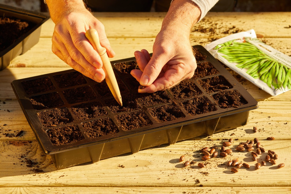 Muldale Mini Plant Dibber Garden Hand Tool