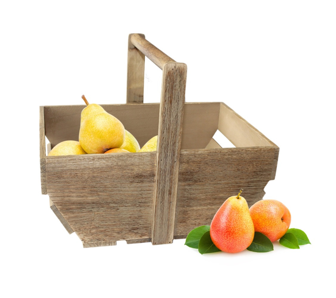Wooden Trug by Wrenbury Ideal Wooden Trug for Gardening Muldale