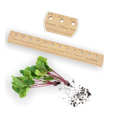 Muldale Beechwood Garden Planting Ruler with Graduations