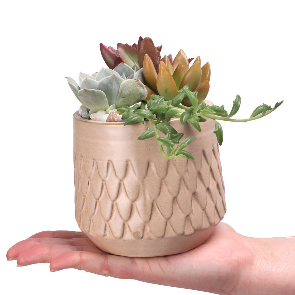 Mermaid Pot 4.25" x 4.0" - Mountain Crest Gardens