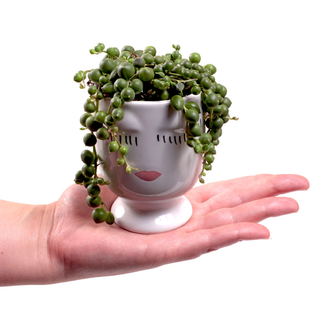 Celfie Vase 2.75" x 3.5" | Mountain Crest Gardens™