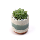 Pots for Succulents | Mountain Crest Gardens®