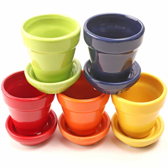 Pots for Succulents | Mountain Crest Gardens®