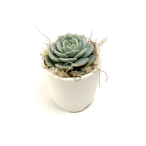 Ruth Pot 3" x 2.75"