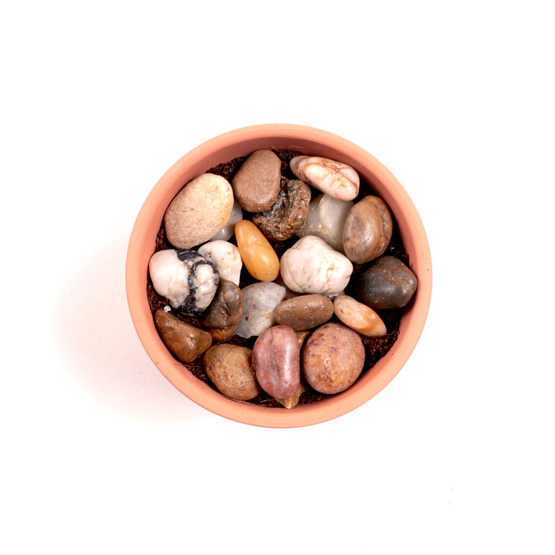 Top Dressing - Dark River Rocks (1/2 Lb) | MCG™